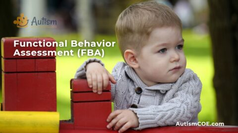 Functional Assessment Models in ABA Therapy for Early Intervention