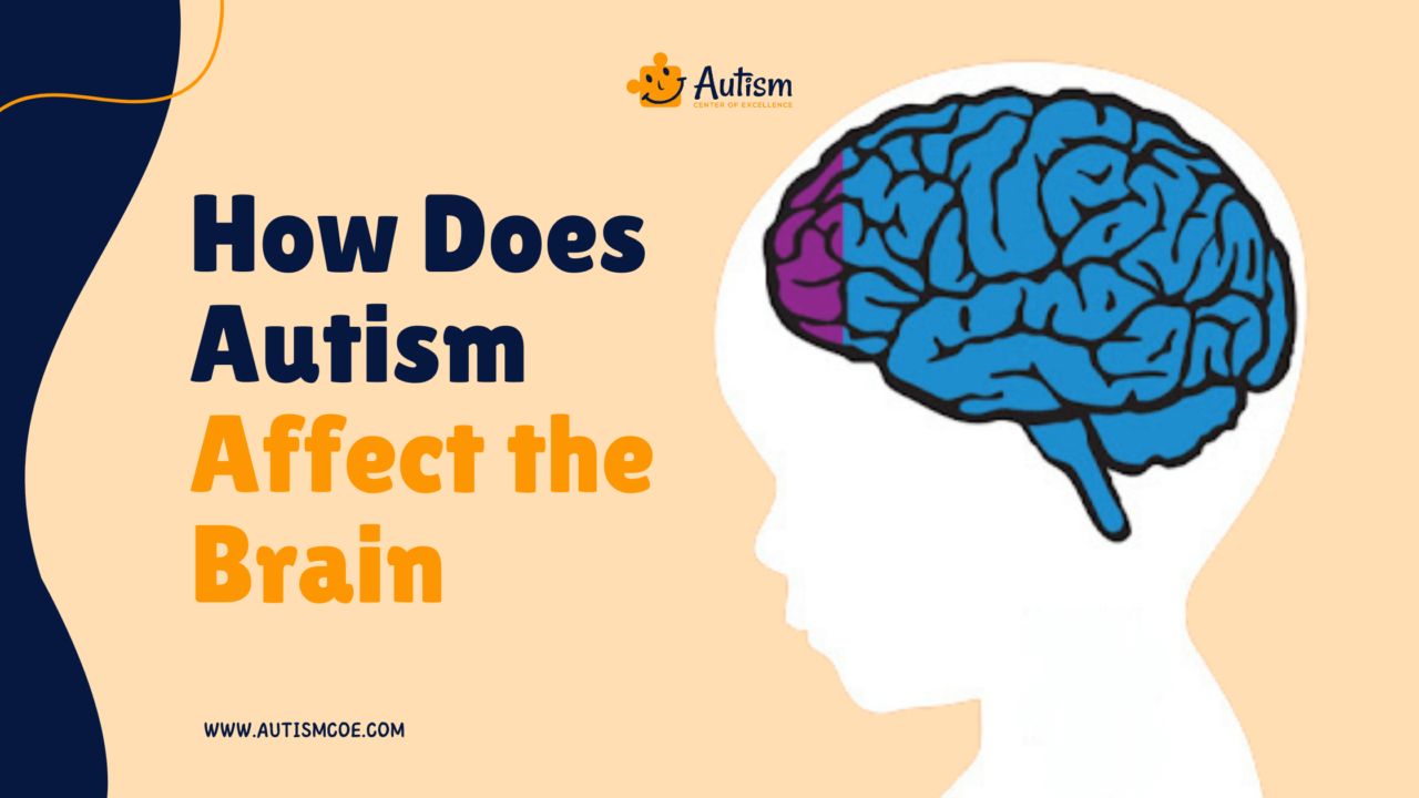 How Do Autistic Brains Work? | AutismCOE
