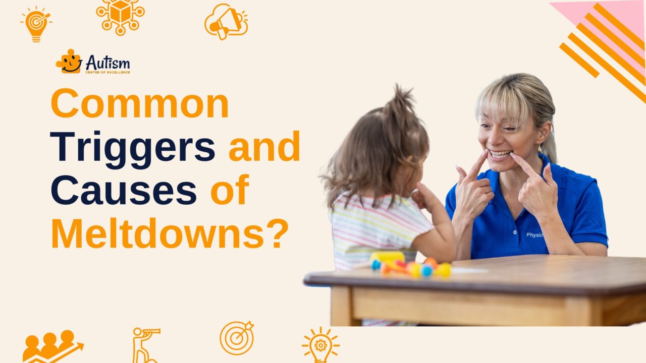 Navigating the Storm of Autism Meltdowns - Autism Center of Excellence