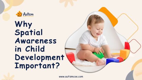 Enhancing Spatial Awareness & Motor Skills with Early Intervention